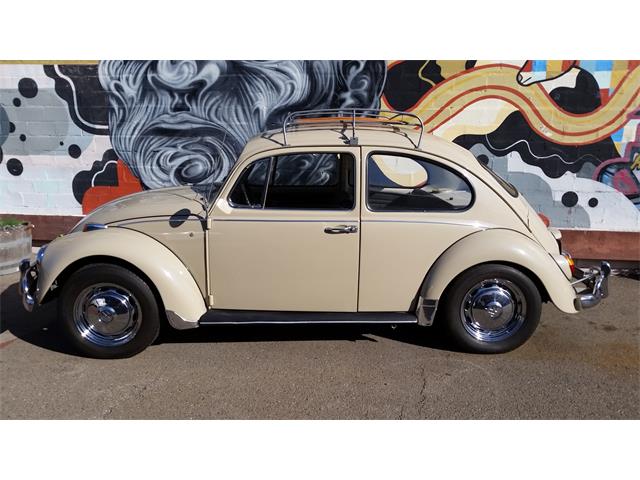 Classifieds for 1967 Volkswagen Beetle - 15 Available